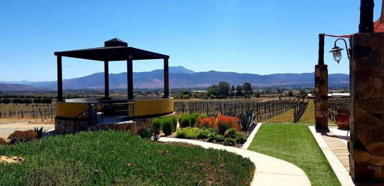 From Tijuana: Valle de Guadalupe Private Winery Tour