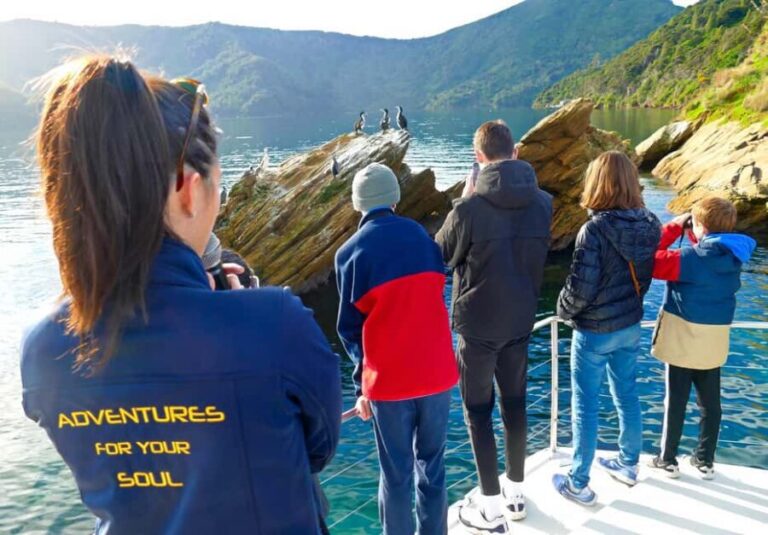 Motuara Island Sanctuary: Wildlife & Dolphin Watching Tour