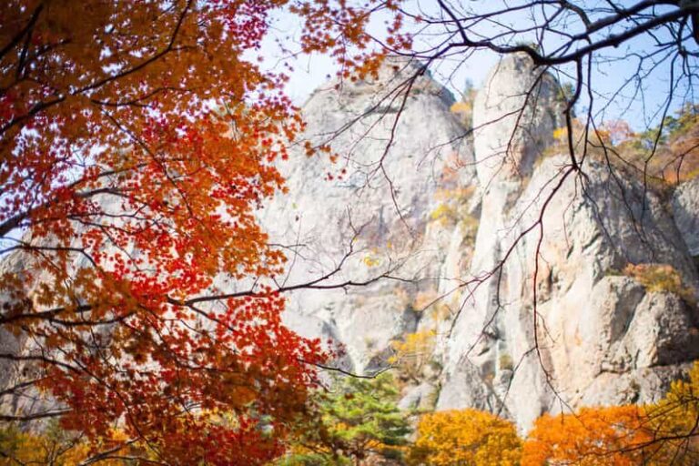 Busan: Mt. Jiri or Juwangsan Park Autumn Foliage Day Tour