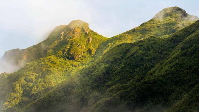 Mount Fansipan Hike 1Day With Francophone Guide