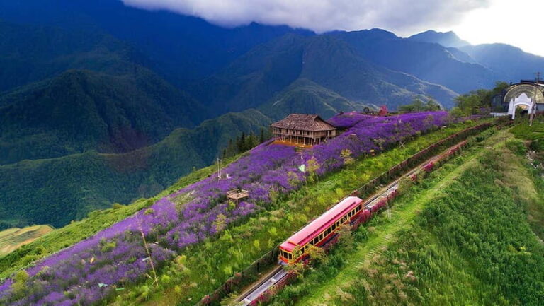 Sa Pa: Discover Fansipan Mountain Trek with Homestay 3 days