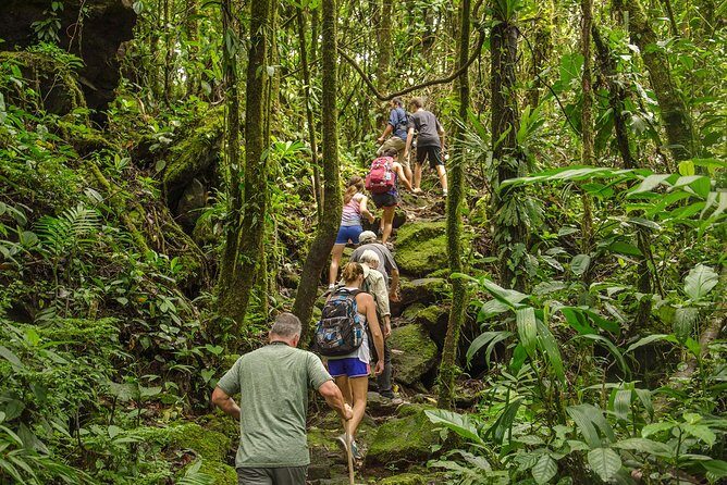 Arenal Volcano Hike Trail & Baldi Hot Springs From Arenal