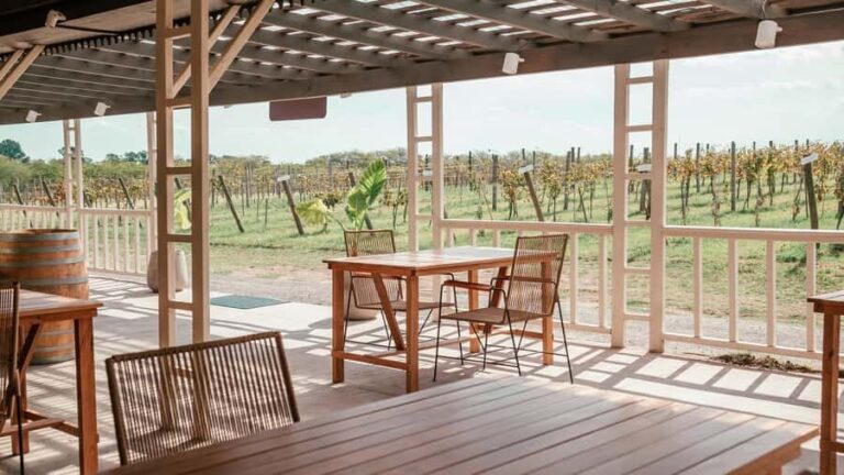 Buenos Aires: Wine Tasting and Lunch at Bodega Gamboa