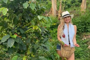 Coffee Farm and Santa Rosa Hot Springs Tour from Pereira or Armenia