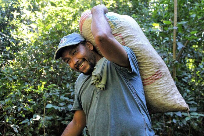 Coffee Plantation Visit and Tasting Activity in Costa Rica