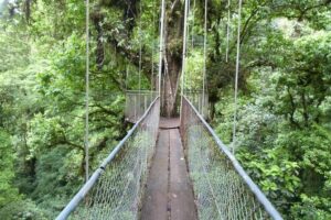 Day Trip from San Jose to Arenal Hanging Bridges & Tabacon Hot Springs