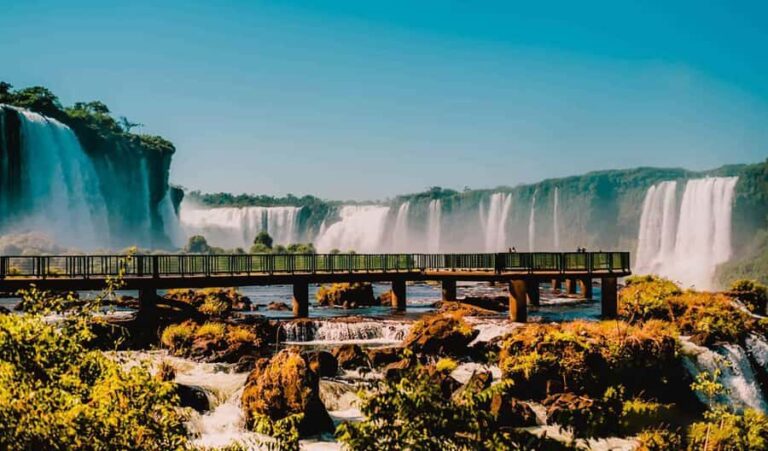 Explore the Falls, Bird Park and Macuco Safari