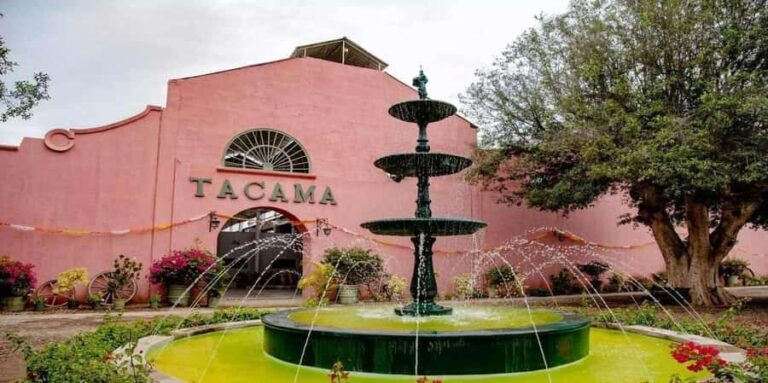 From Ica: Winery Tour - Along the Pisco Route