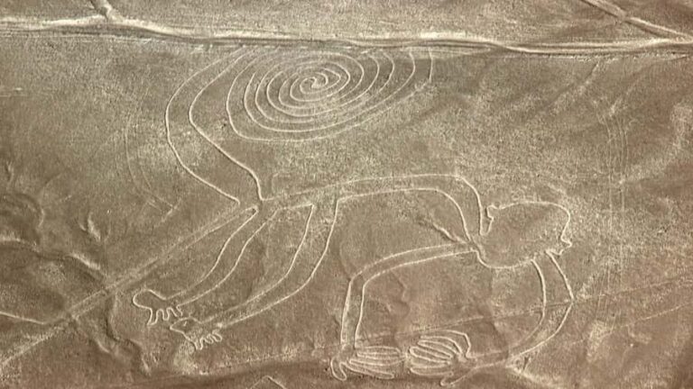 From Nazca: Flight in a light aircraft over the Nazca Lines