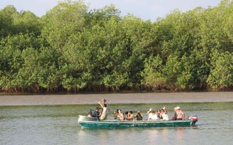 Green treasure: National Mangrove Sanctuary, Tumbes