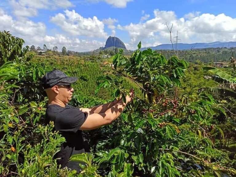 Guatapé & Coffee Farm, all in one day