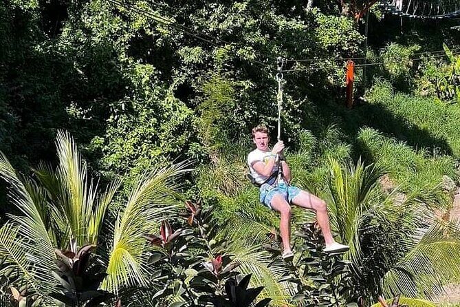 Half-Day Zip Line Combo: Beaches and Wildlife Encounter in roatan