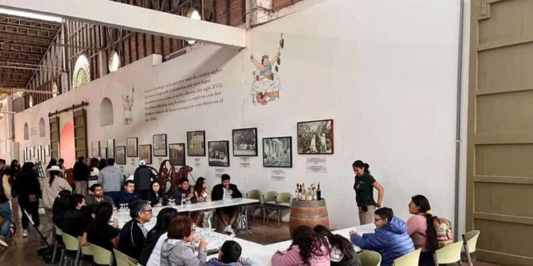Ica: Tacama Winery and Pisco Tasting Tour with Hotel Pickup