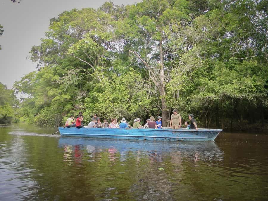 Iquitos : Amazon Three-Day Exploration Rainforest