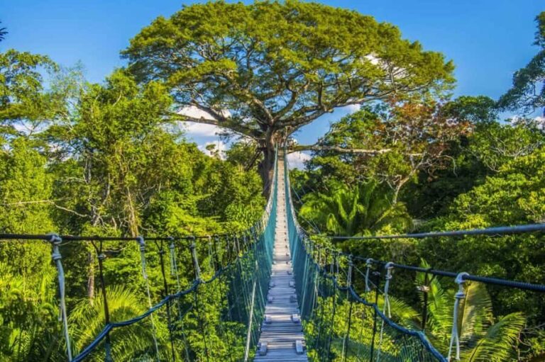 Kayaking and Monkey Island: One Day from Puerto Maldonado