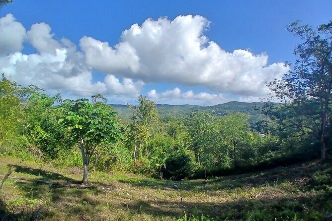 Montego Bay's 7 Best Hiking And Trekking Tours