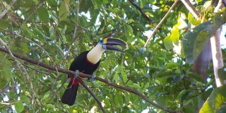 Manu National Park 3 Day Trip