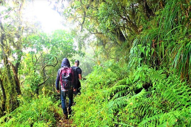 Private Guided Hiking Tour to the Blue Mountains