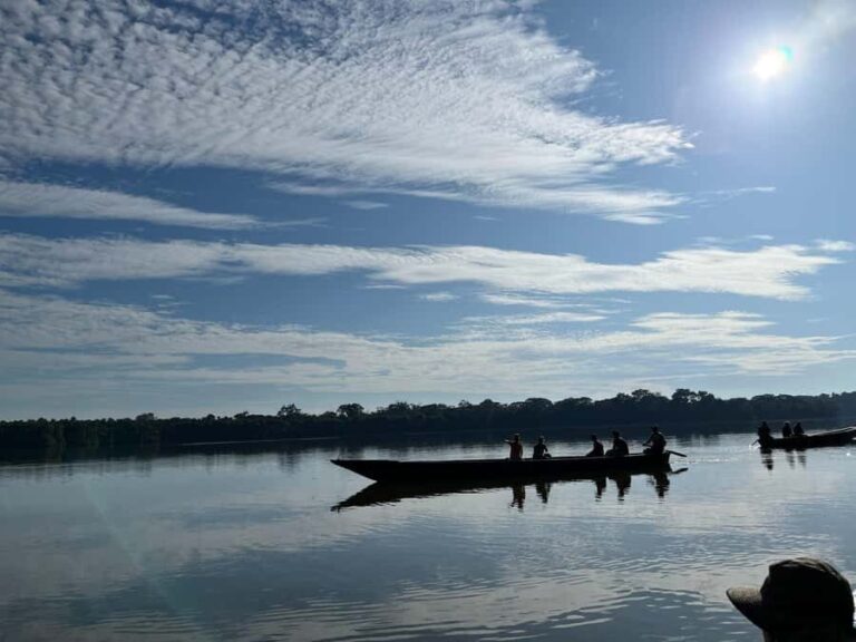 Puerto Maldonado || Parrot Sighting and Piranha fishing