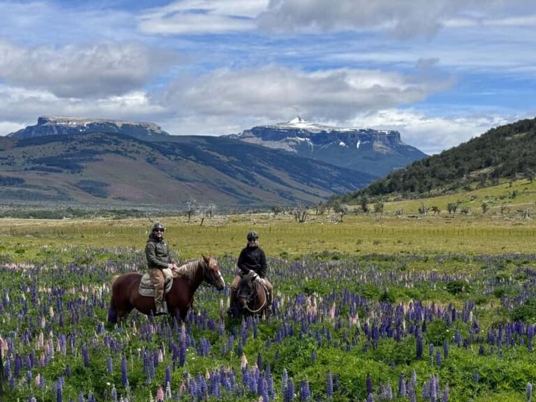 Puerto Natales: Horseback Riding with Horse Connection