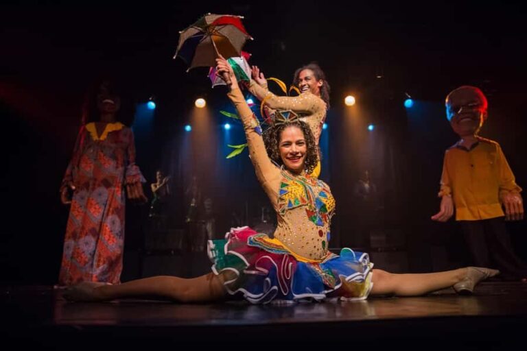 Rio de Janeiro: Samba Show Admission & Transfer