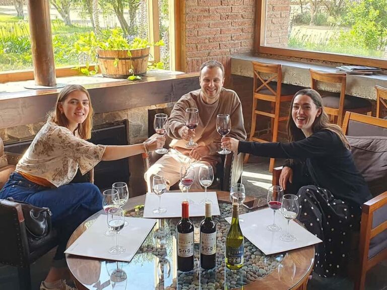 Santiago: World-class Wines, Visit to 4 Vineyards and Tanino