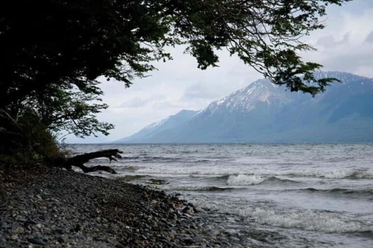 Ushuaia: Beagle Channel and Penguin Island Boat Tour