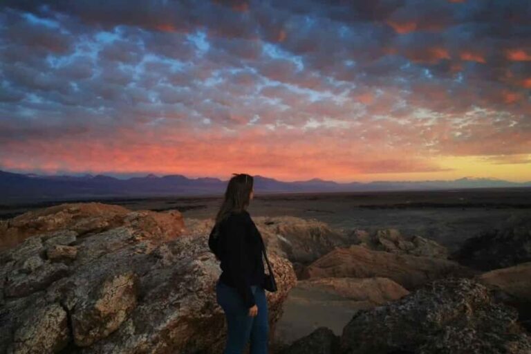 Visit to the Atacama Desert and the Magic Bus