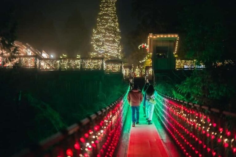 Capilano Suspension Bridge Canyon Lights Holiday Tour