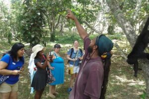 Howler Monkey Sanctuary and Kukumba Beach from Belize City