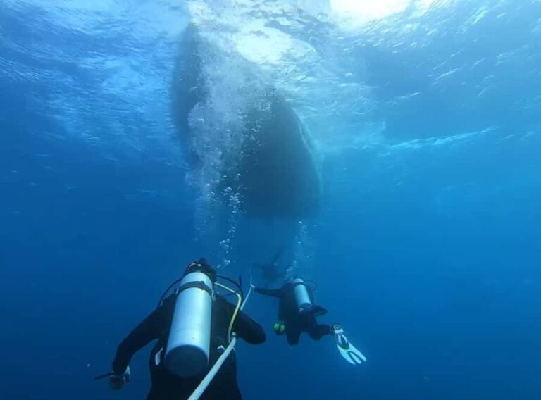 Key West: Vandenberg Wreck Dive