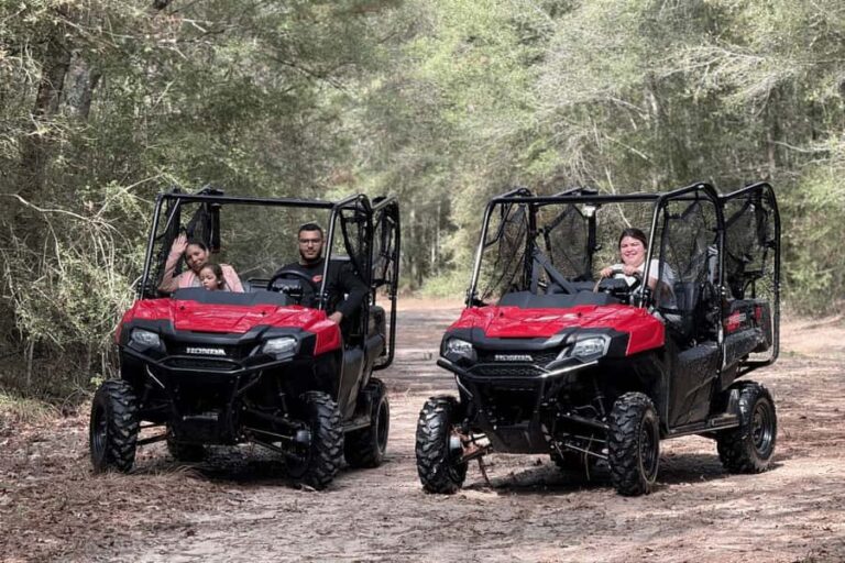 Miami: UTV Side-by-Side Tour with Photos and Music