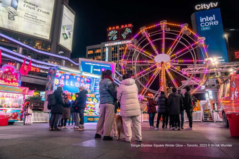 Toronto: Guided City Sightseeing Festive Lights Bus Tour